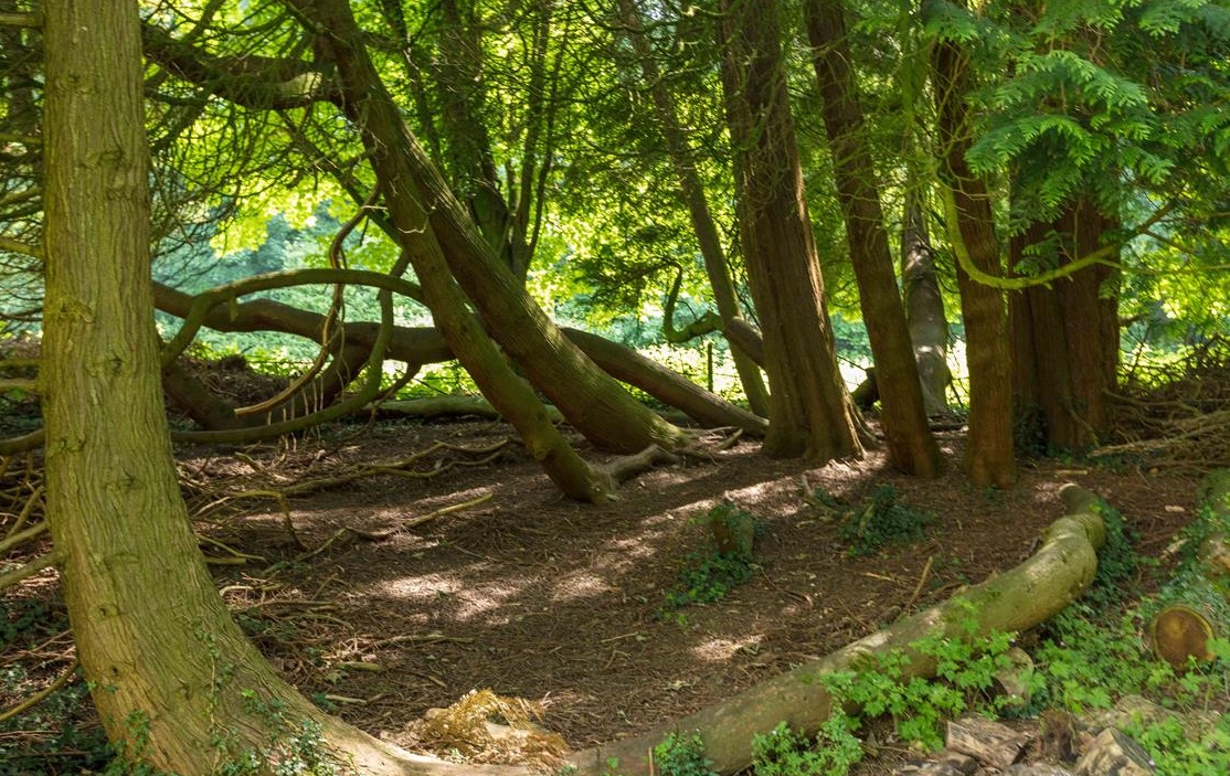 Restorying Landscapes