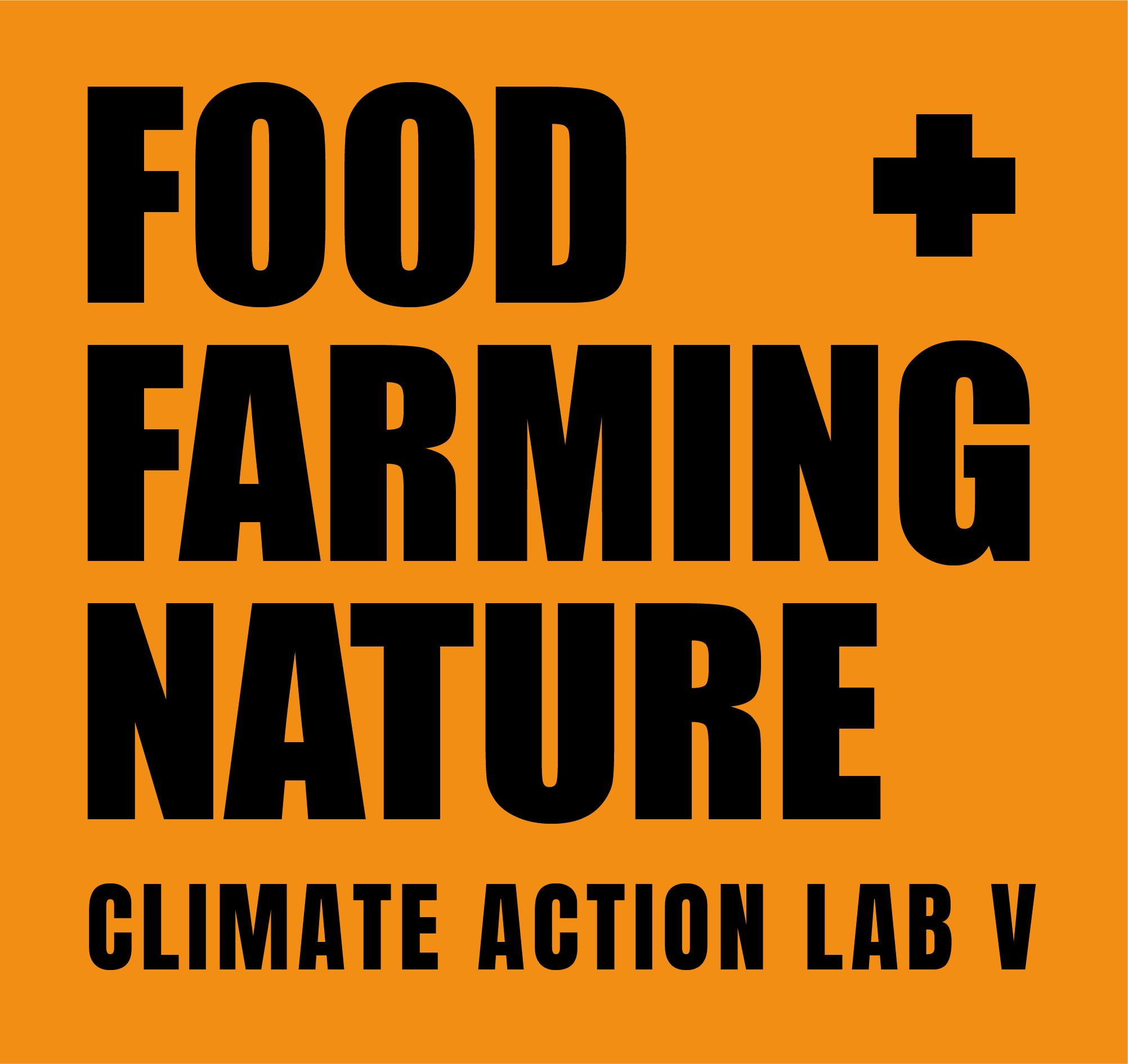 Climate Action Lab V: Online